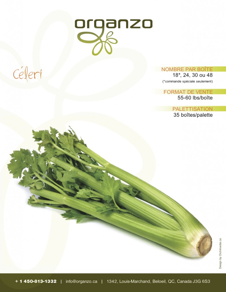 Céleri | Organzo