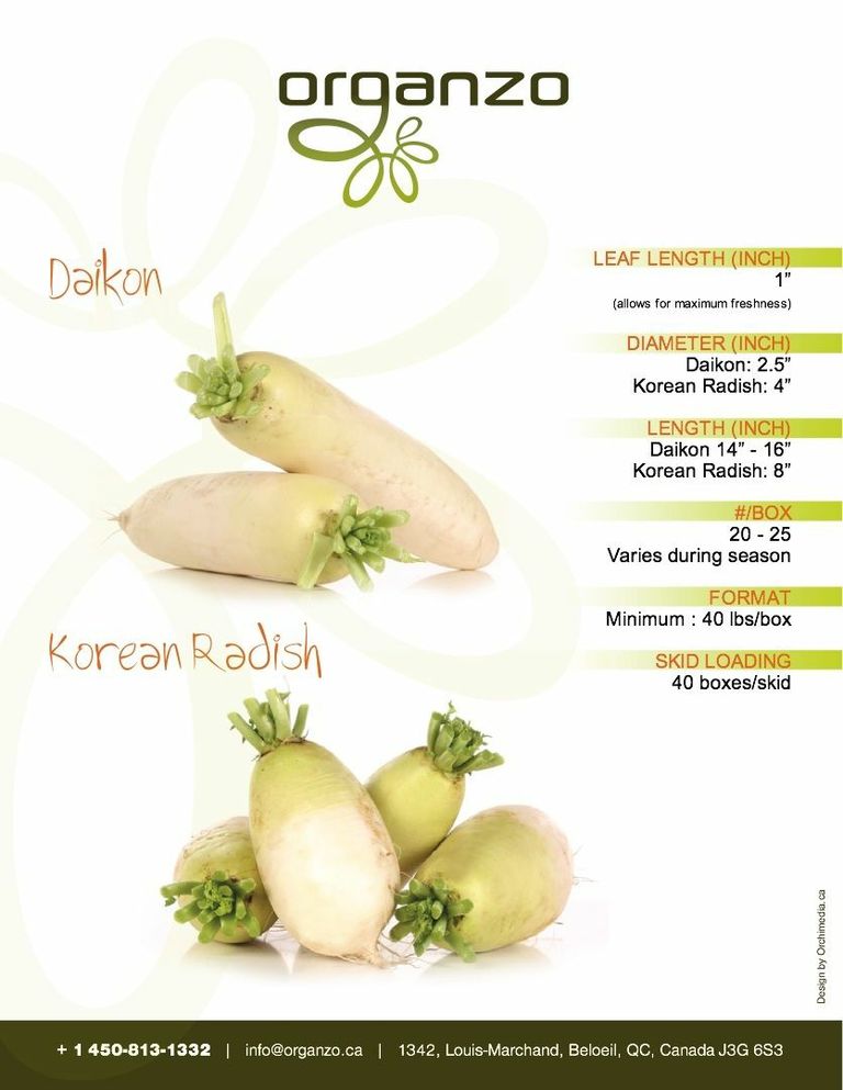 Daïkon | Organzo